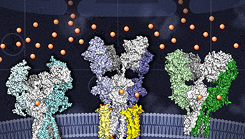 BPS2025 Scientific Sessions | Biophysical Society